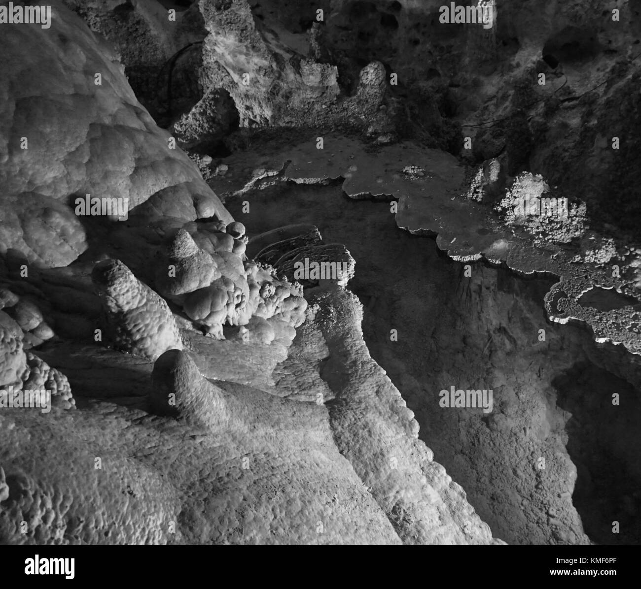 Troglophiles hi-res stock photography and images - Alamy