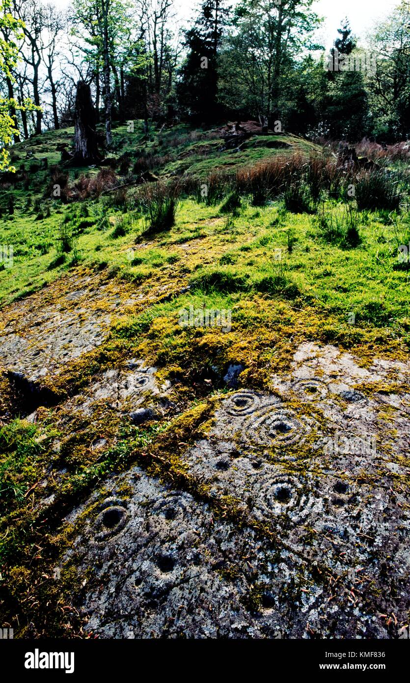 Cup and ring mark marks prehistoric Neolithic rock art on natural rock ...