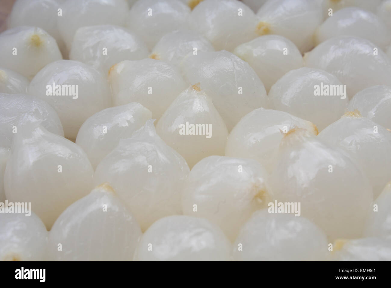 Shallotonion hi-res stock photography and images - Alamy