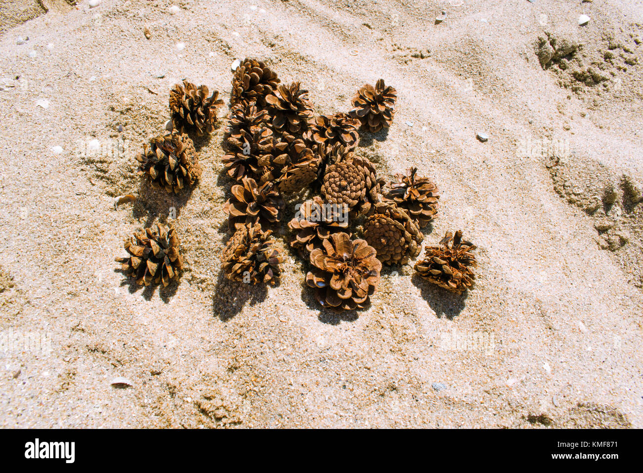 Cones on the sea, golden color Stock Photo - Alamy