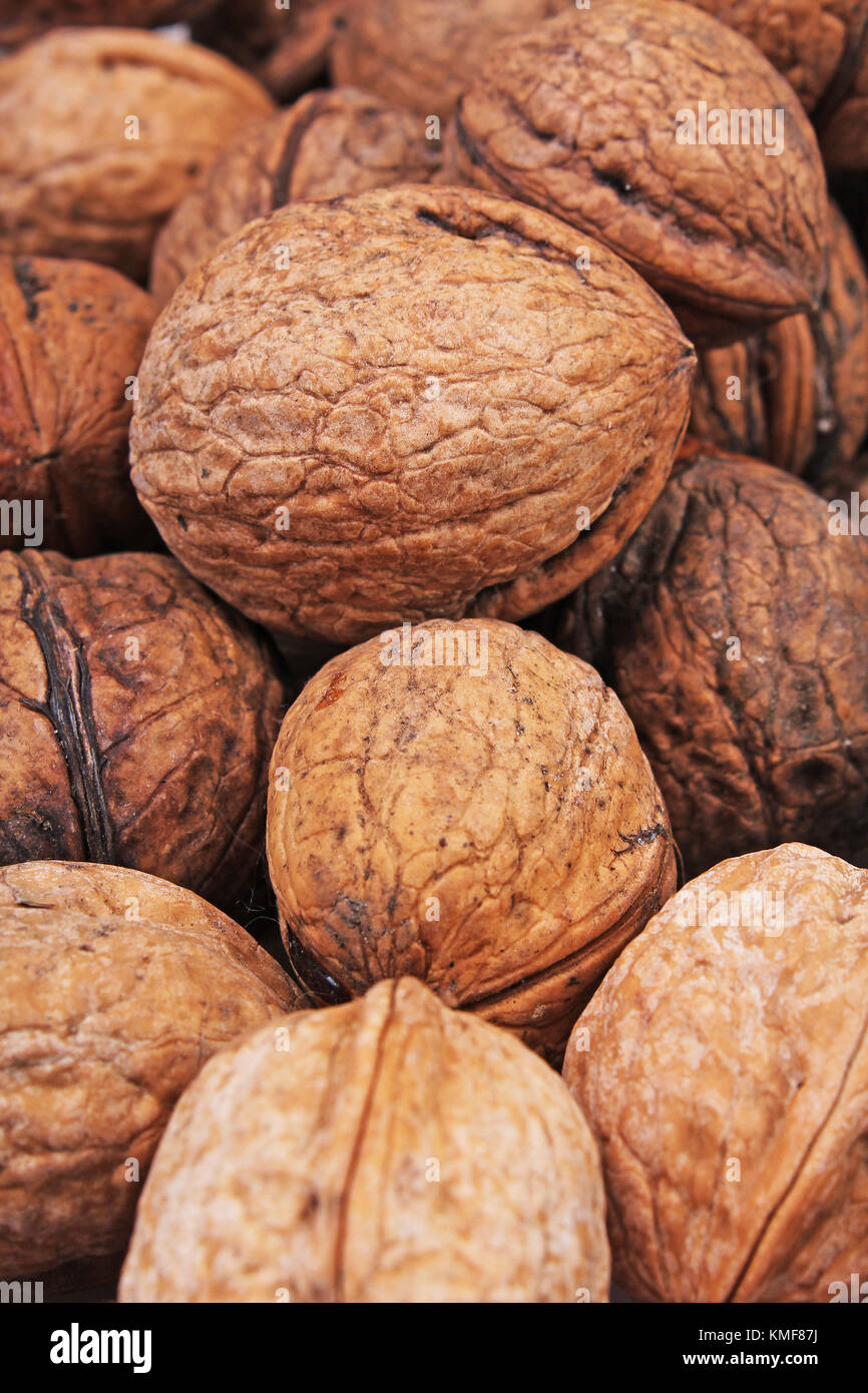 Walnut texture. Brown big walnuts as background. walnut nuts pattern ...