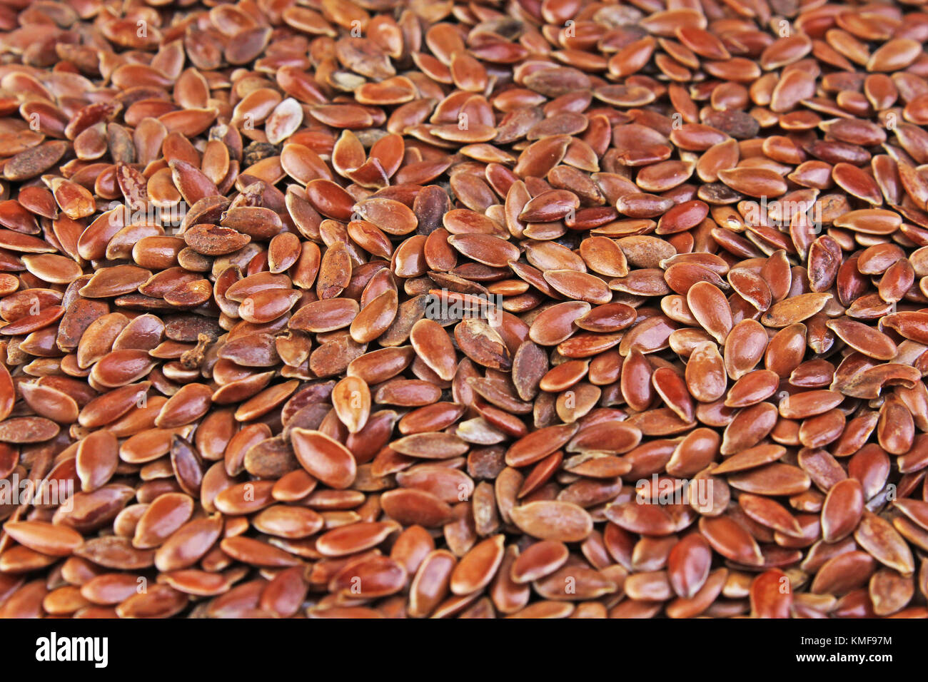 Linseed wallpaper hi-res stock photography and images - Alamy