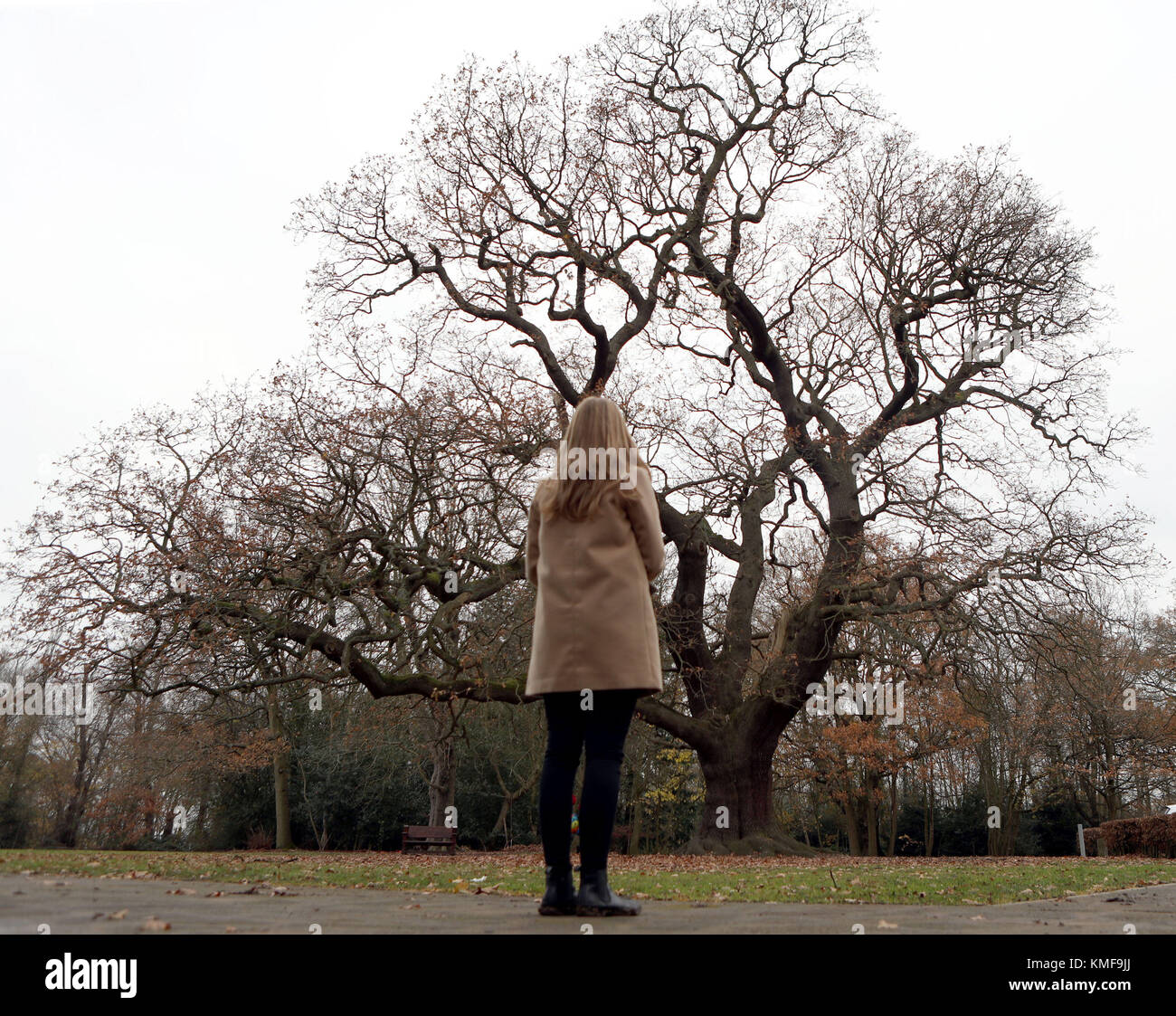 Gilwell park chingford hi-res stock photography and images - Alamy