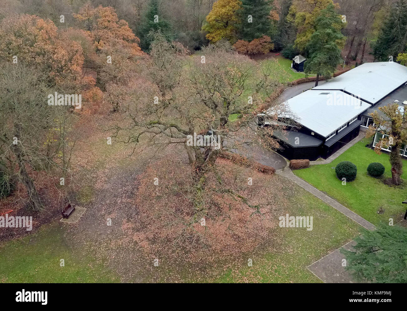 An aerial image of an Oak tree (centre) at the Scout Association's ...