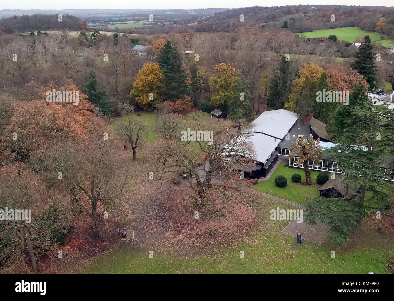 An aerial image of an Oak tree (centre) at the Scout Association's ...