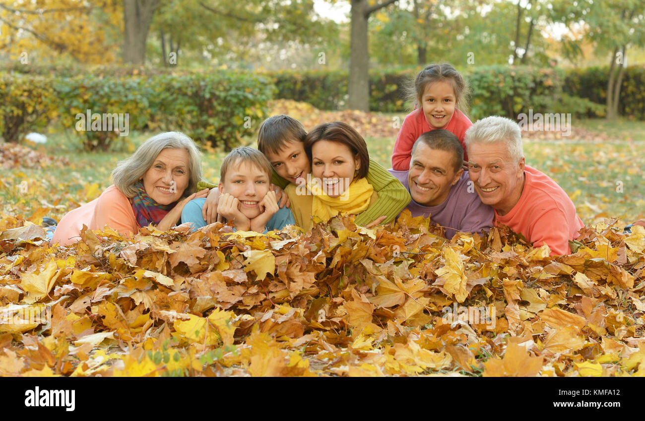 Big family having fun Stock Photo - Alamy