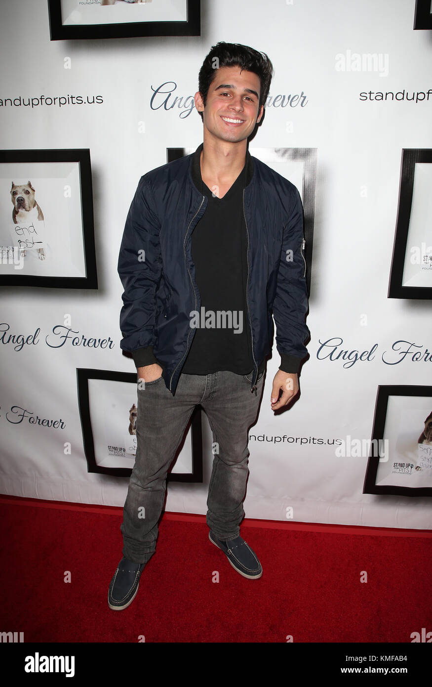 7th Annual Stand Up For Pits Featuring: Josh Wolf Where: Hollywood ...