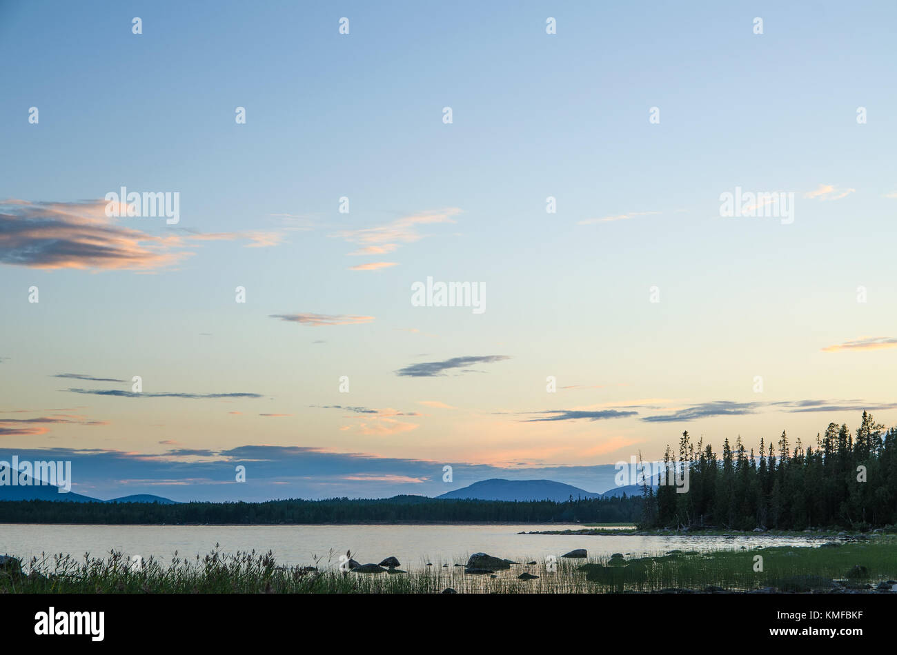 Wooded shore of a large lake. Forests along the coast. Kola Peninsula ...