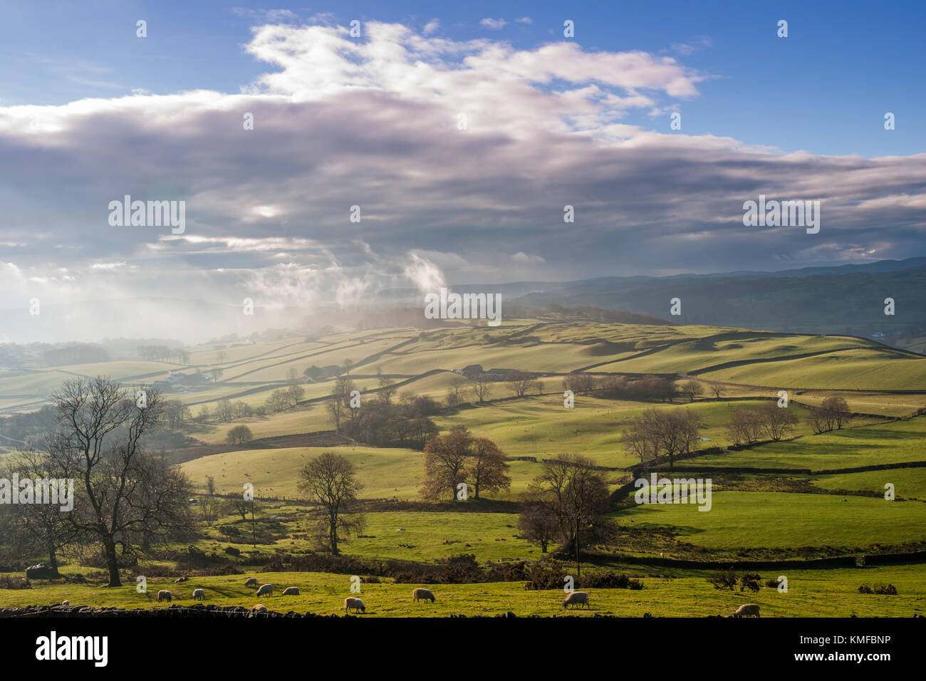 Rolling English Countryside near Staveley in the English Lake District ...