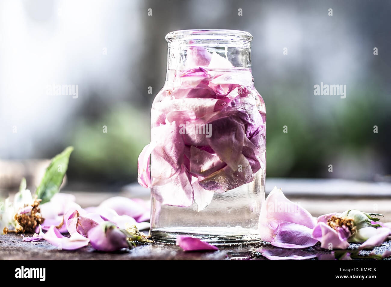 A transparent bottle contains rose water with rose petals in it.Concept ...