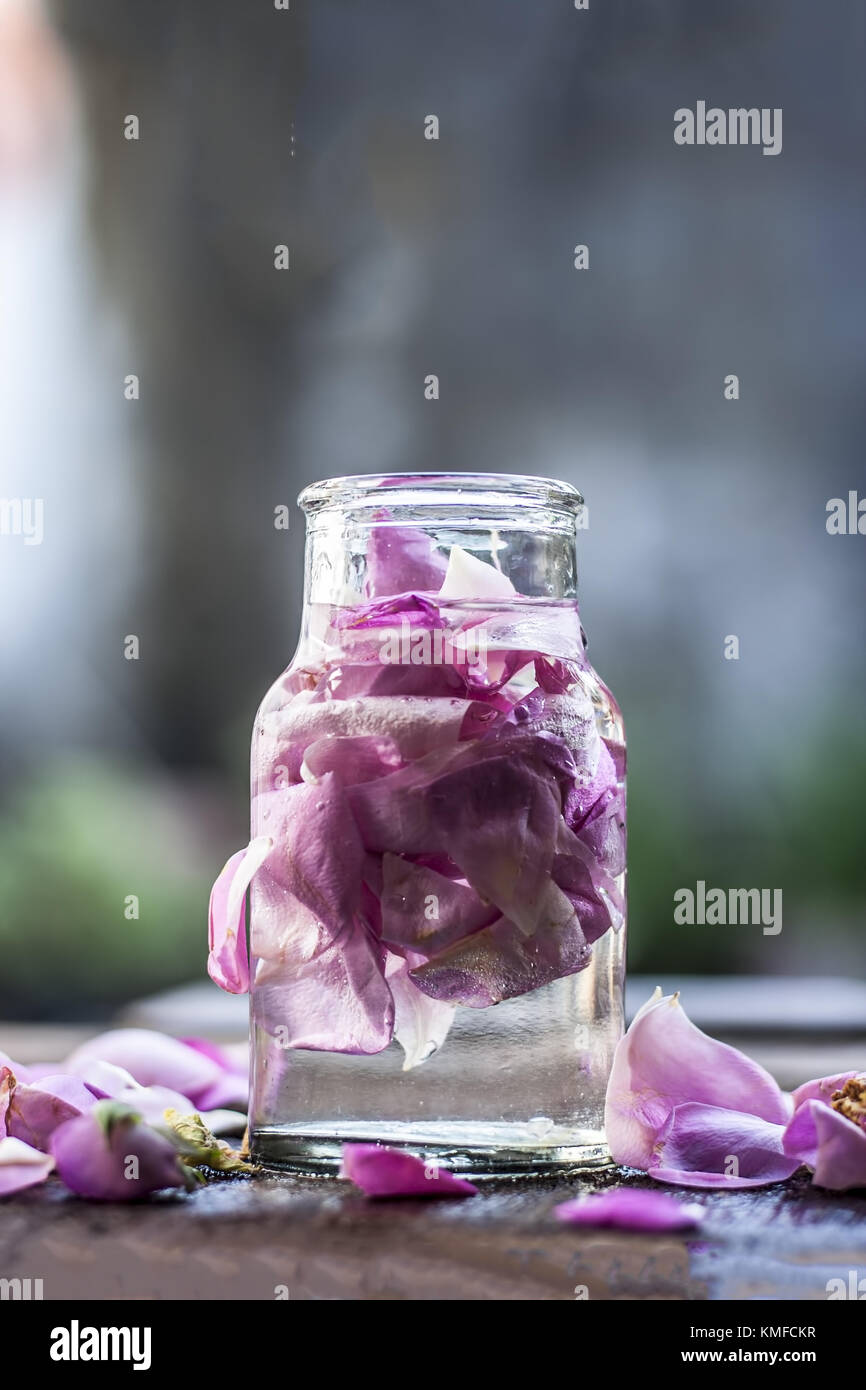 A transparent bottle contains rose water with rose petals in it.Concept ...