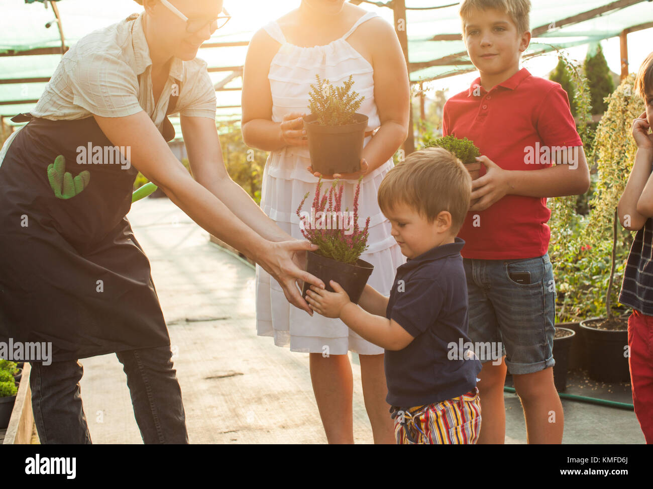 Florist demonstrating flowers in a pot Stock Photo - Alamy