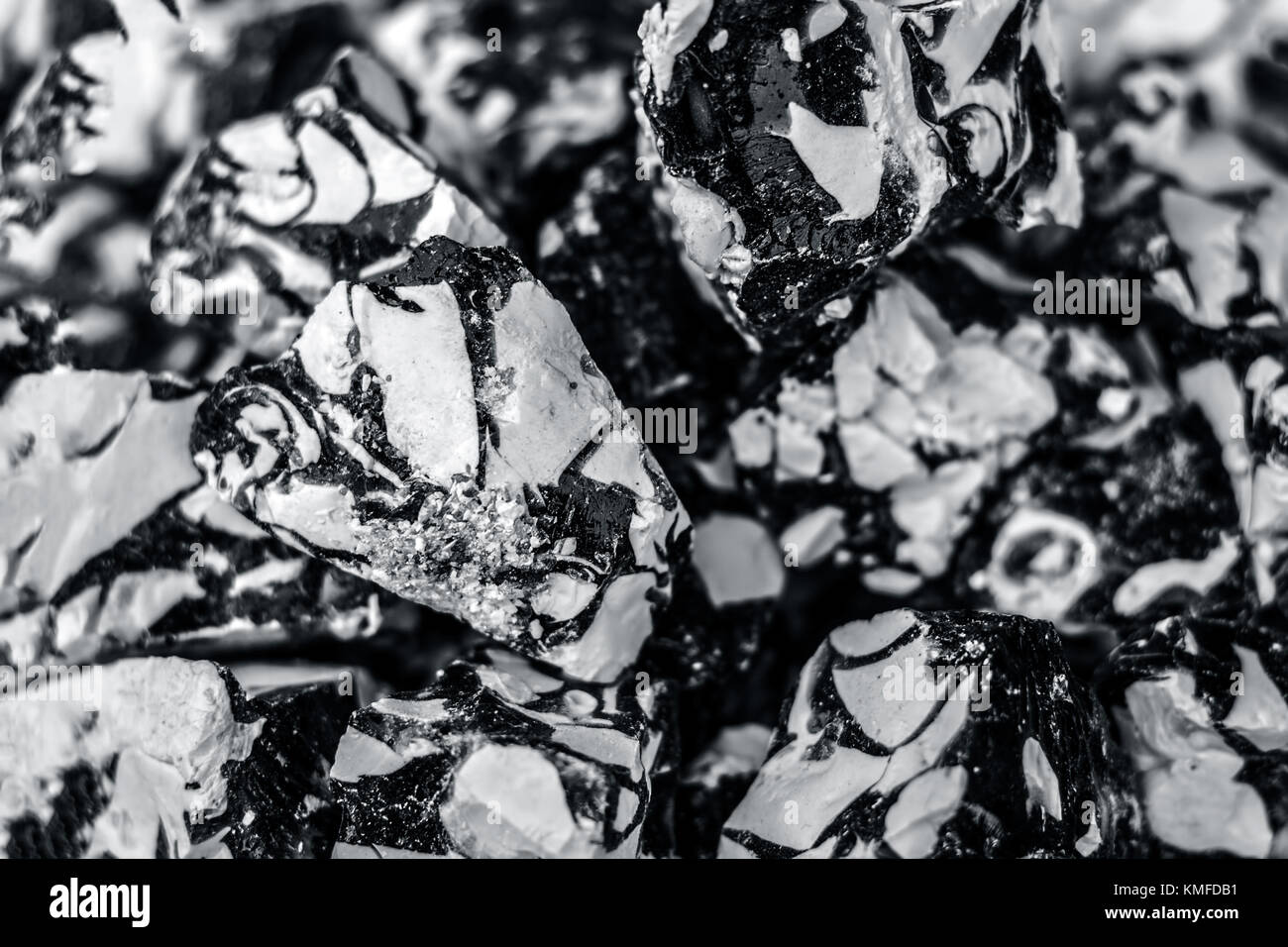 Benzoin tree hi-res stock photography and images - Alamy