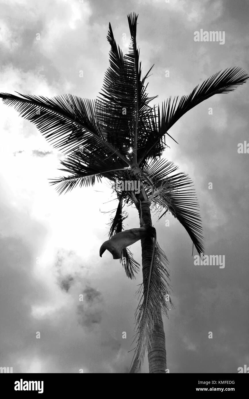 Psychedelic sky Black and White Stock Photos & Images - Alamy