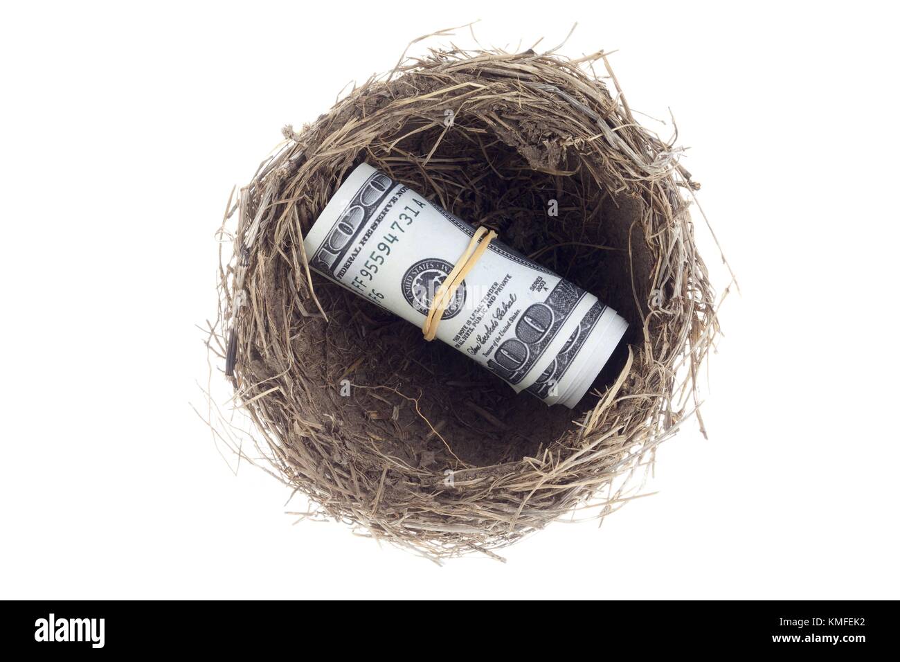 dollars with bird nest Stock Photo - Alamy