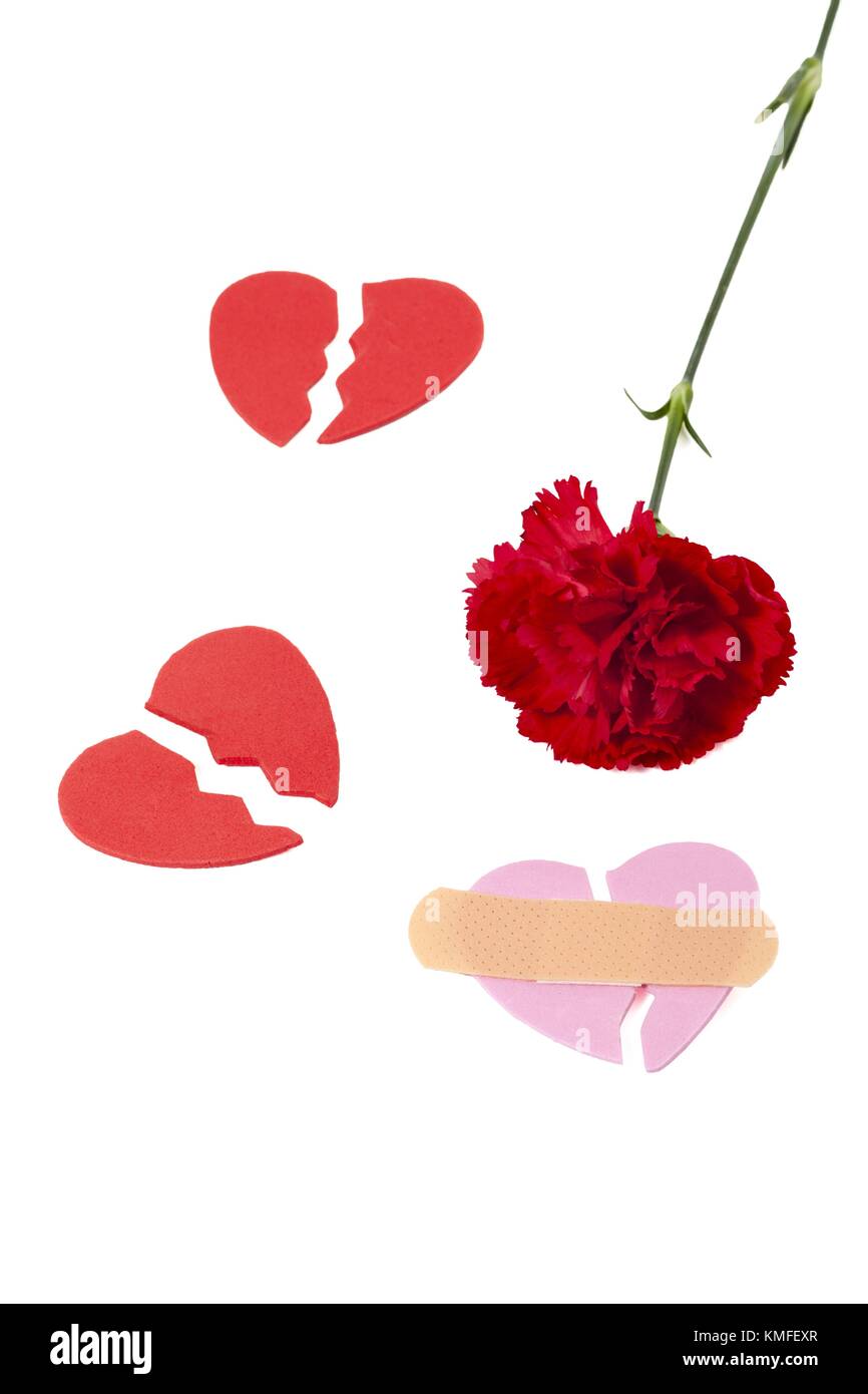 red carnation with broken paper heart shape Stock Photo - Alamy