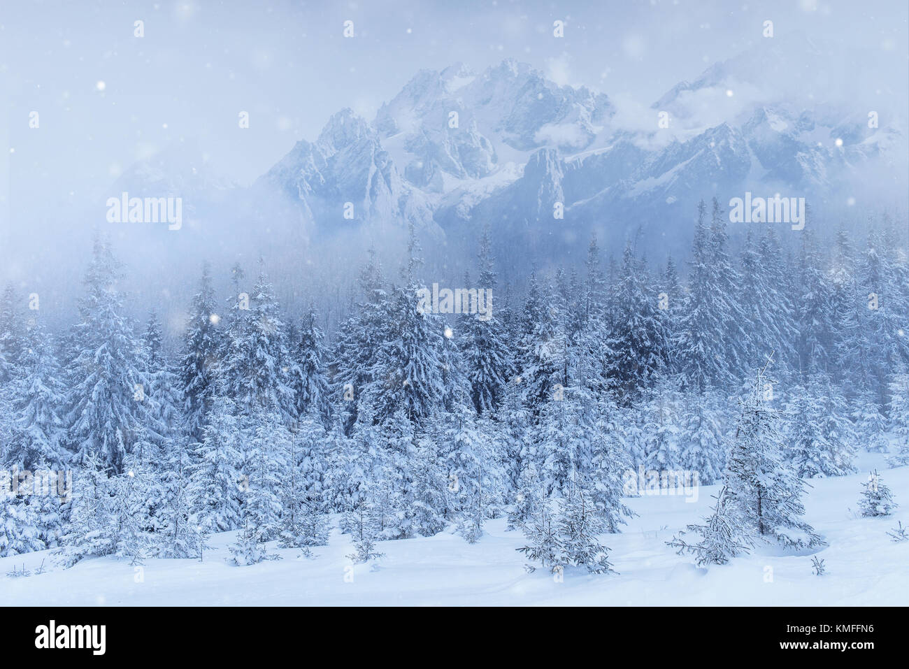 Mysterious winter landscape majestic mountains in winter. Magical ...