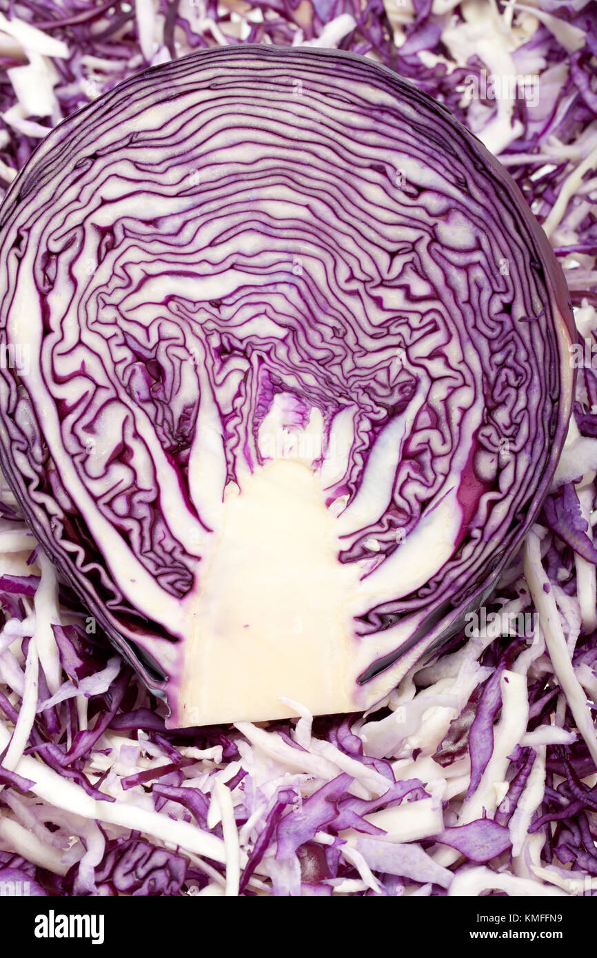 White and Red Cabbage Stock Photo - Alamy