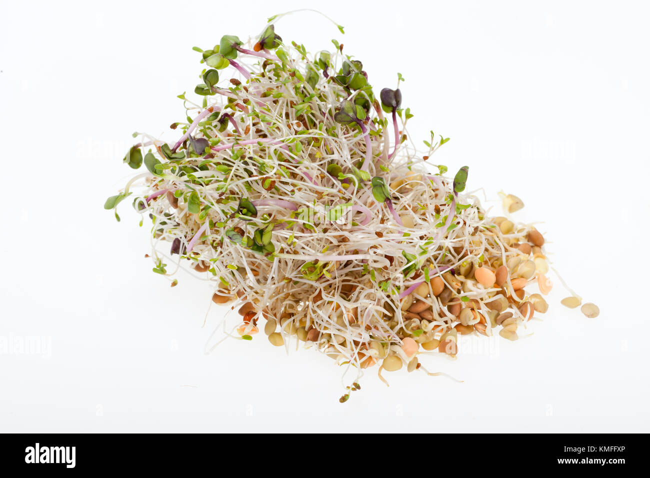 The healthy diet. Fresh sprouts isolated on white background Stock ...