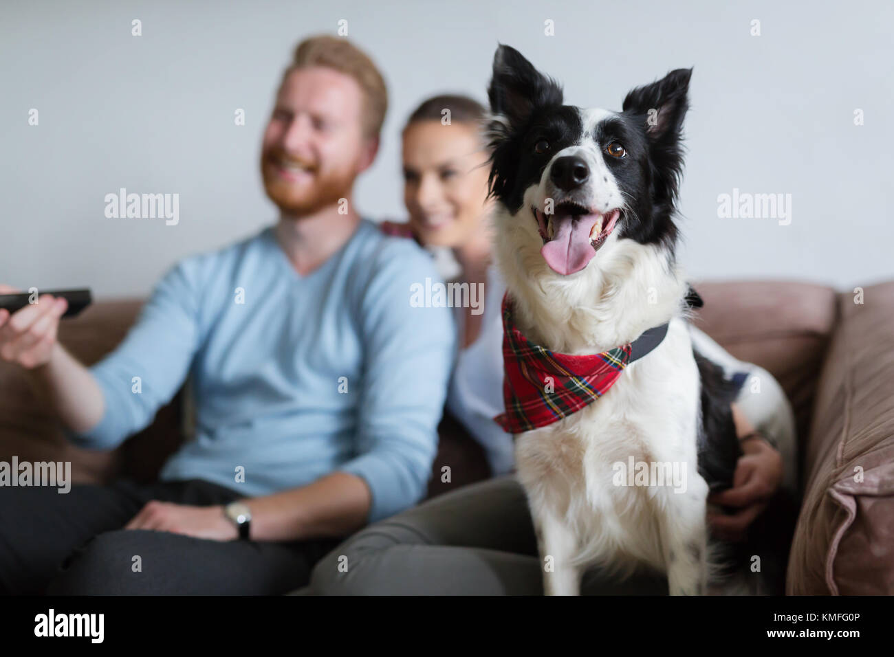 Beautiful couple watching television at home with their dog Stock Photo ...