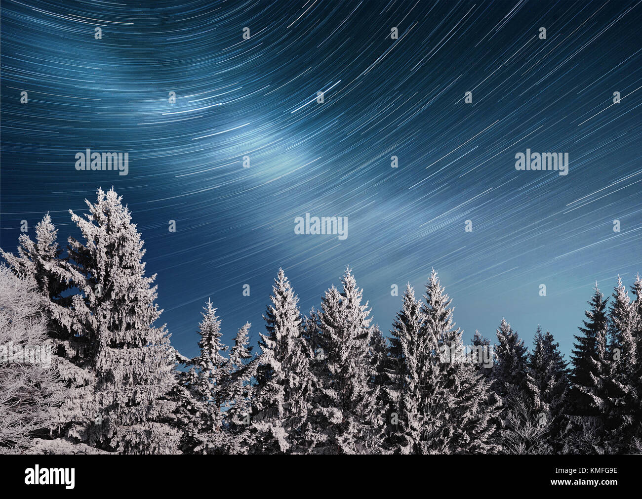 magical winter snow covered tree. Winter landscape. Vibrant night sky ...