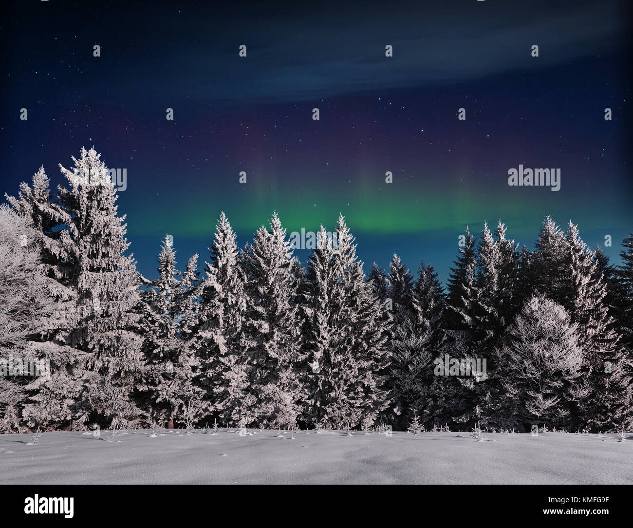 magical winter snow covered tree. Winter landscape. Vibrant night sky ...