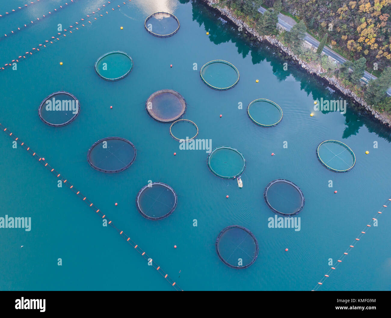 Cages for fish farming view from above Stock Photo - Alamy