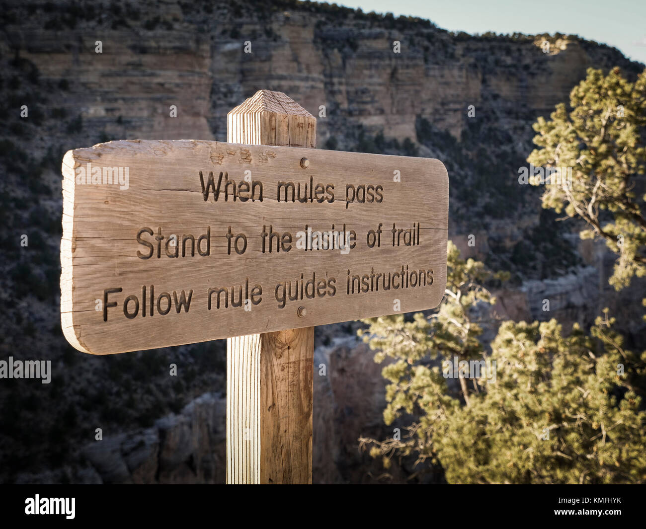 Grand Canyon warning sign regarding mules pass on trail Stock Photo - Alamy