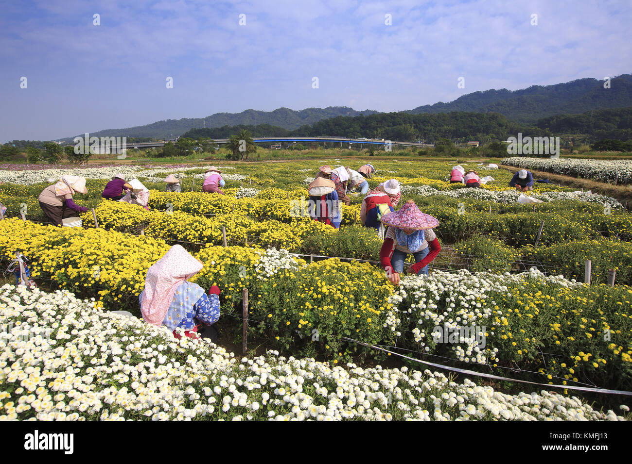 beauty in Taiwan Stock Photo - Alamy
