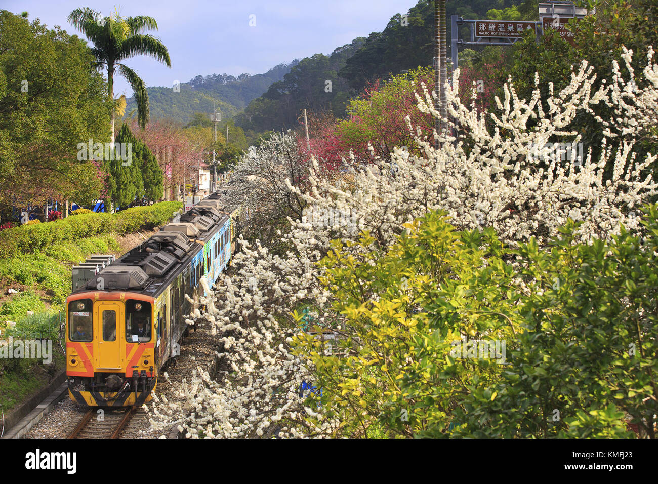 beauty in Taiwan Stock Photo - Alamy