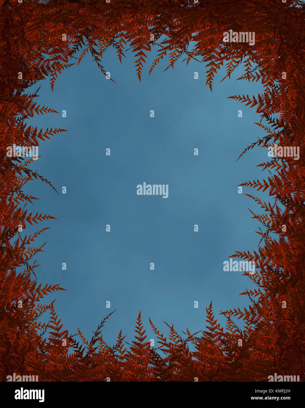 Autumn background with fall ferns and cloudy sky Stock Photo - Alamy