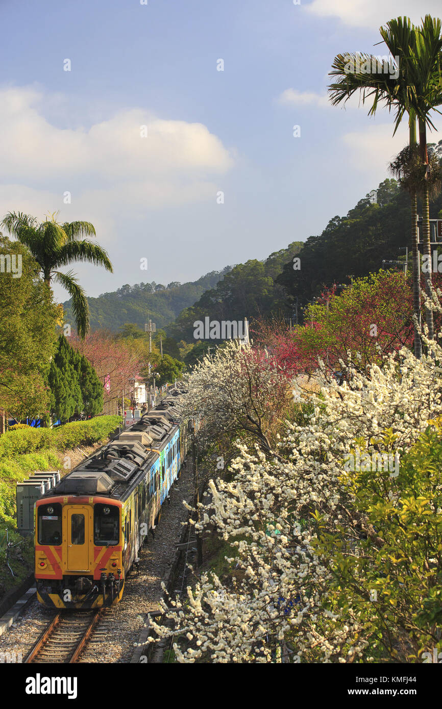 beauty in Taiwan Stock Photo - Alamy