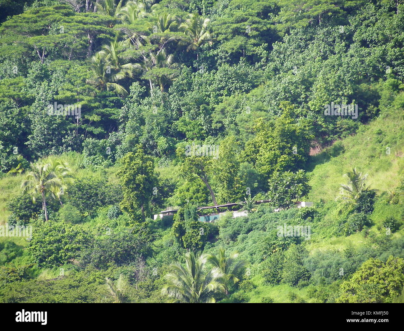 Mountains / Landscape, Moorea, French Polynesia Stock Photo - Alamy