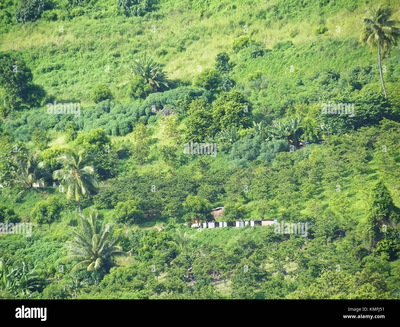 Mountains / Landscape, Moorea, French Polynesia Stock Photo - Alamy