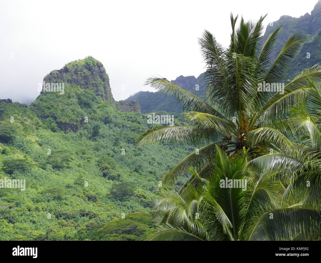 Mountains / Landscape, Moorea, French Polynesia Stock Photo - Alamy