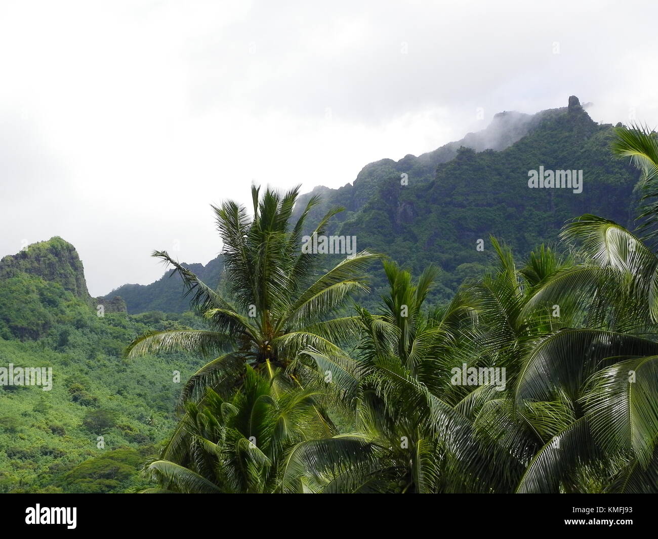 Polinesia landscape hi-res stock photography and images - Alamy