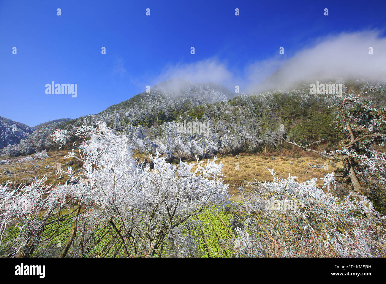 beauty in Taiwan Stock Photo - Alamy