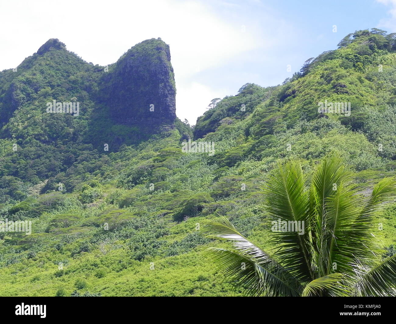 Mountains / Landscape, Moorea, French Polynesia Stock Photo - Alamy