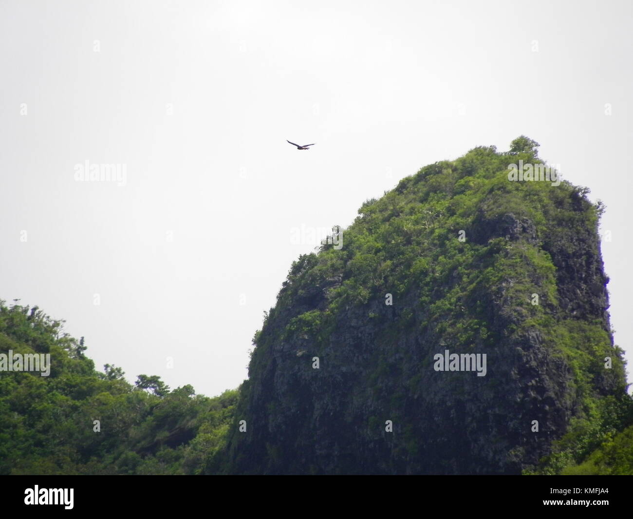 Ranskan polynesia hi-res stock photography and images - Alamy