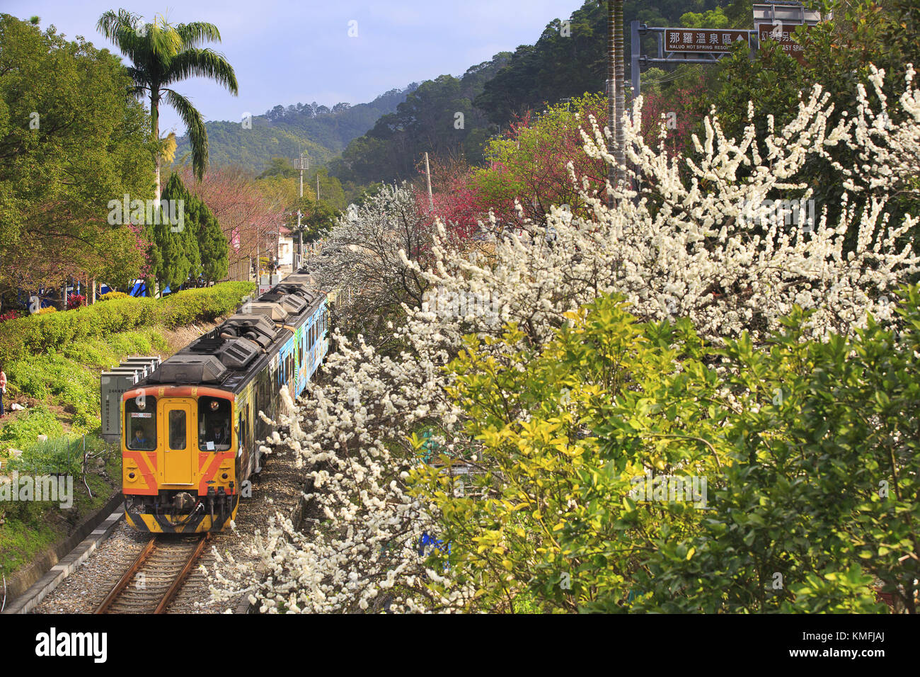 beauty in Taiwan Stock Photo - Alamy