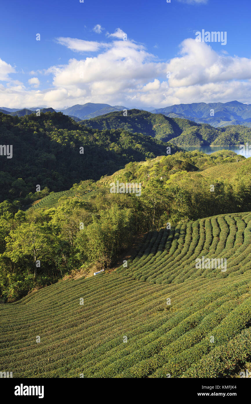 beauty in Taiwan Stock Photo - Alamy