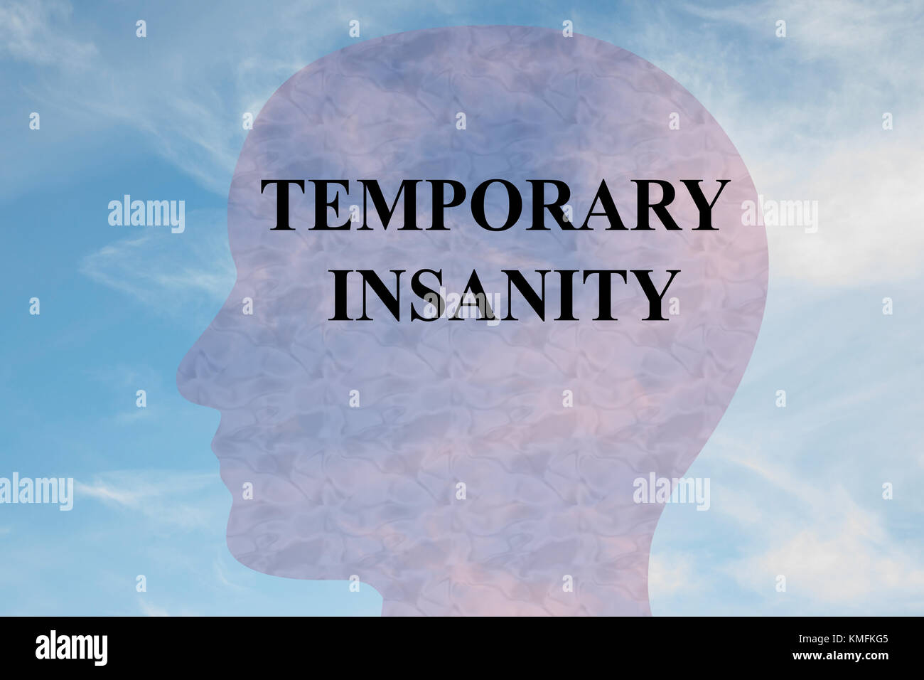 Render illustration of "TEMPORARY INSANITY" title on head silhouette ...