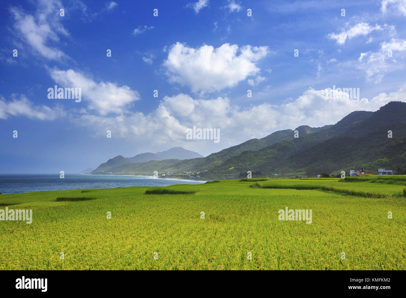 beauty in Taiwan Stock Photo - Alamy