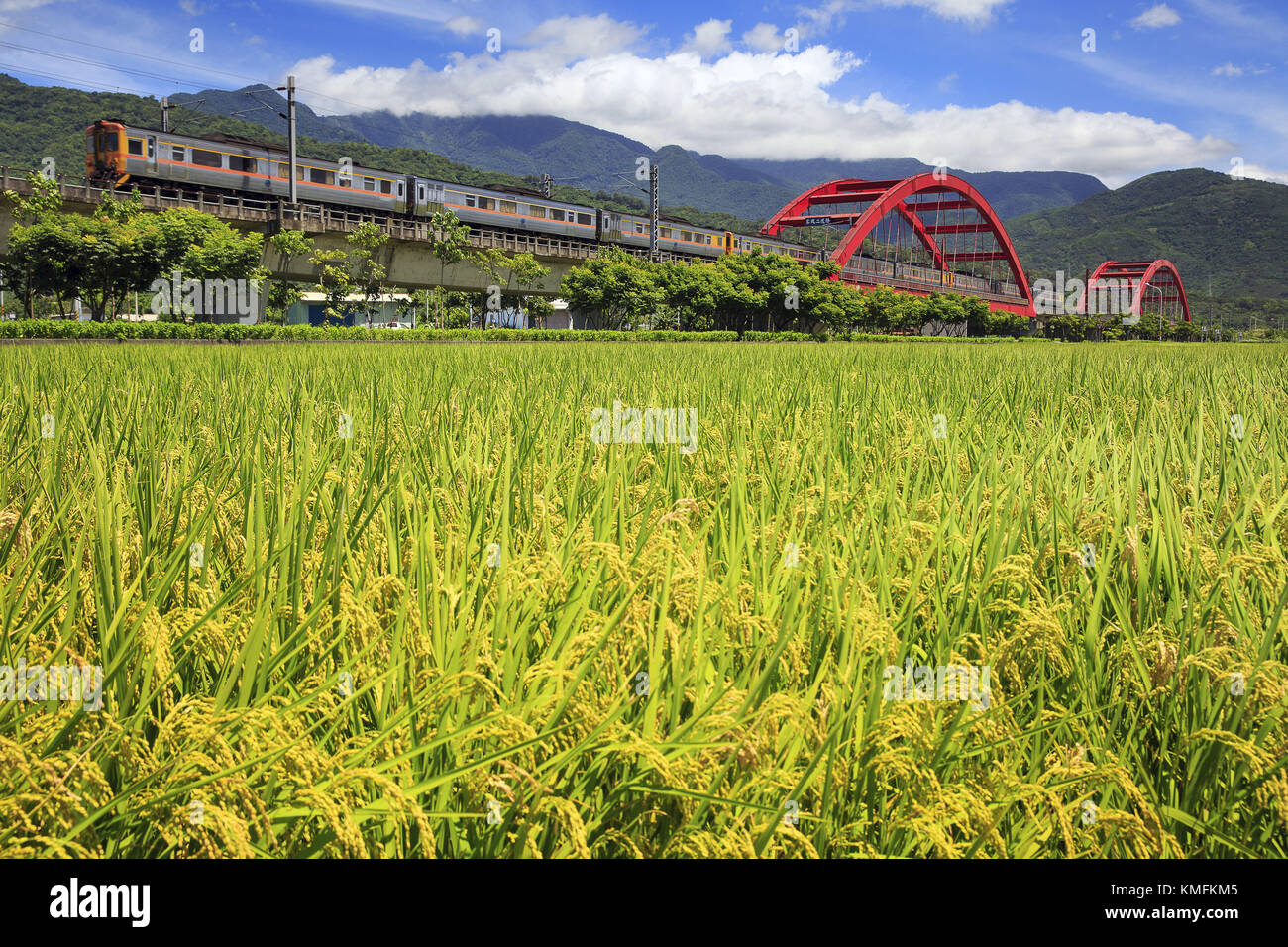 beauty in Taiwan Stock Photo - Alamy