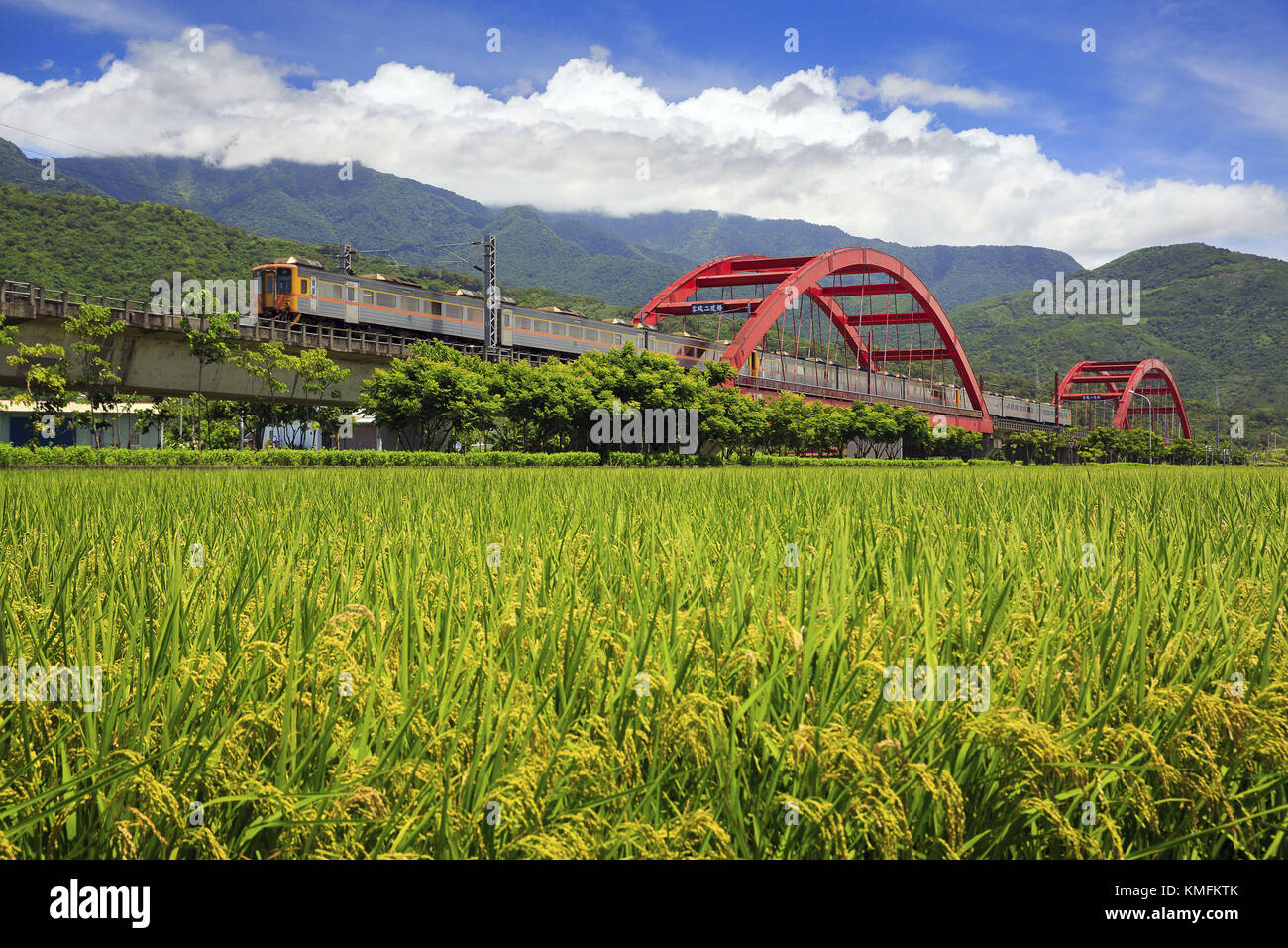 beauty in Taiwan Stock Photo - Alamy
