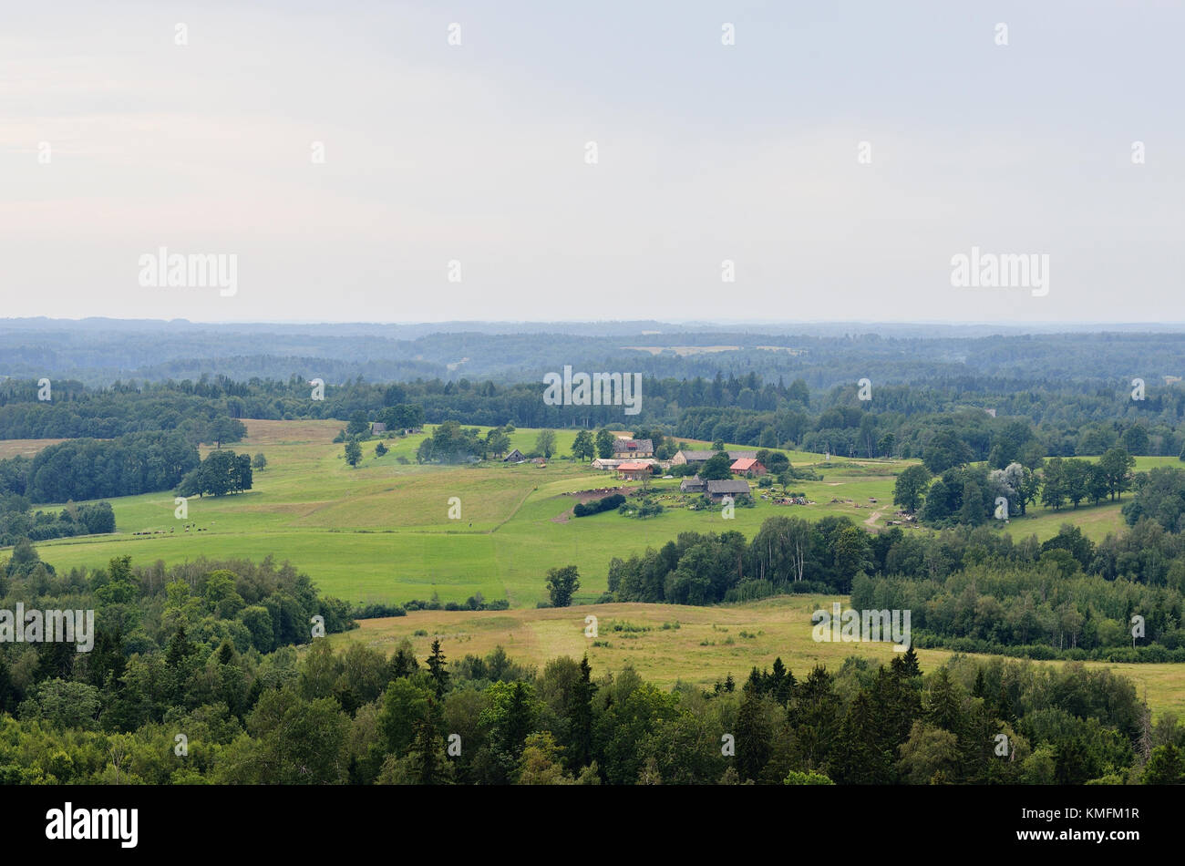 Overlook With Trees Stock Photo - Alamy