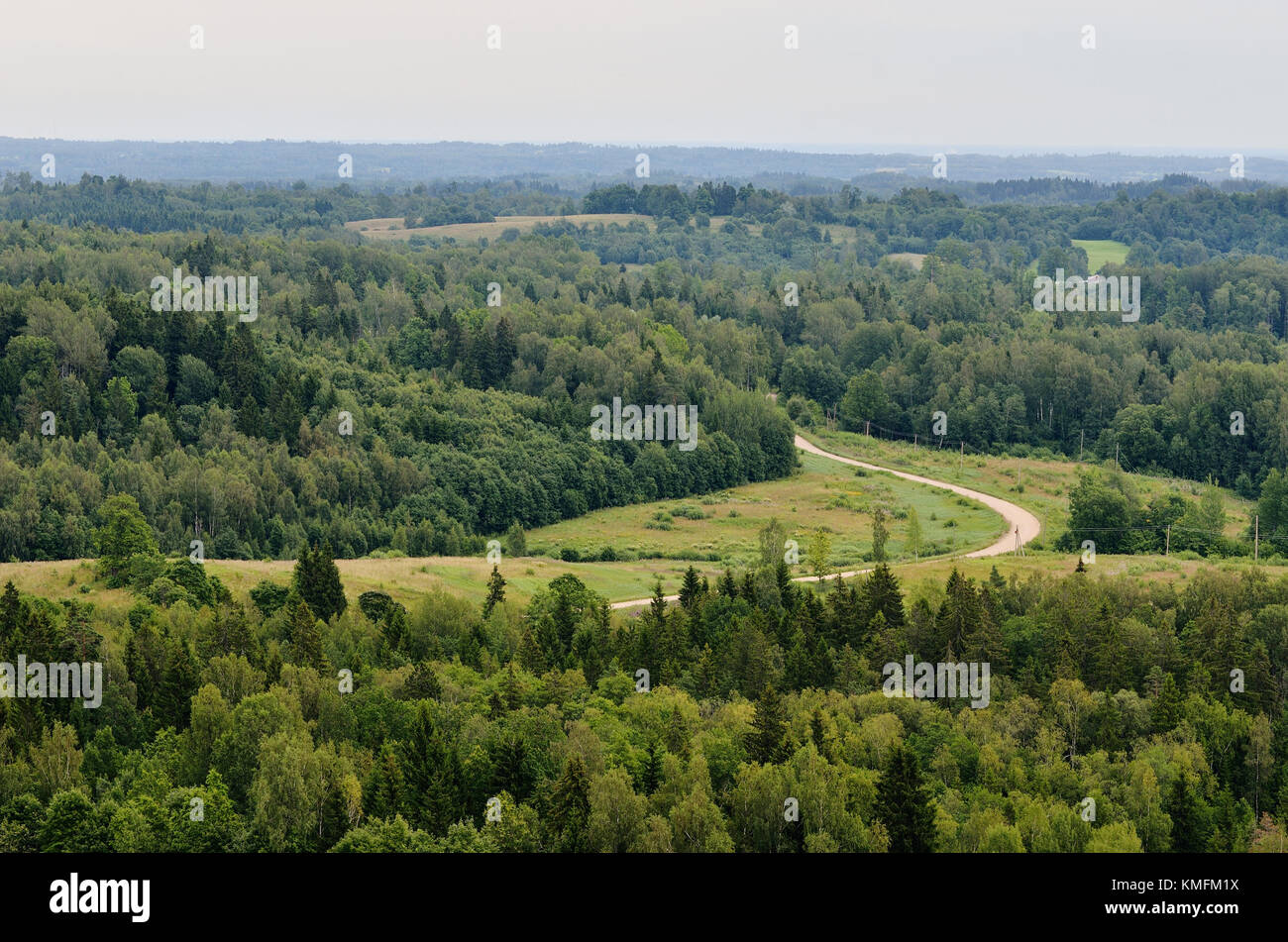 Overlook With Trees Stock Photo - Alamy