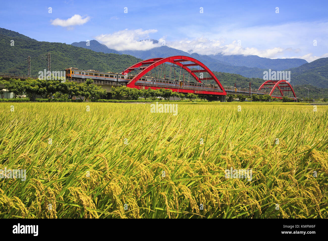 beauty in Taiwan Stock Photo - Alamy