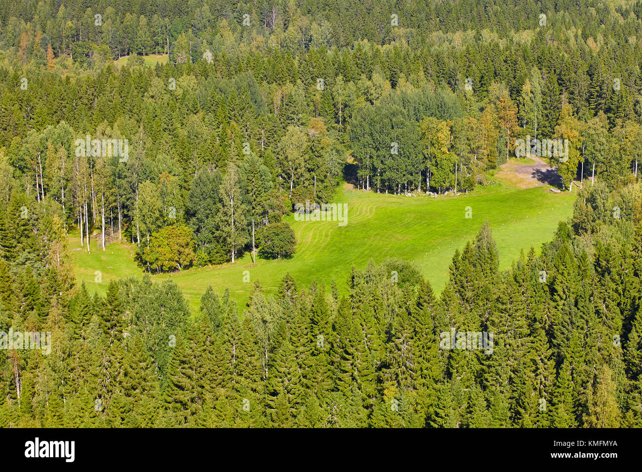 Club competition course forest hi-res stock photography and images - Alamy