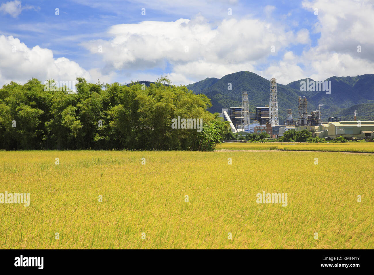 beauty in Taiwan Stock Photo - Alamy